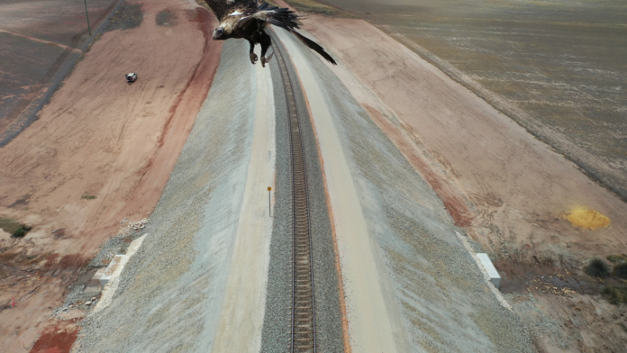 Arc Infrastructure, serving West Australia - Rail Engineer