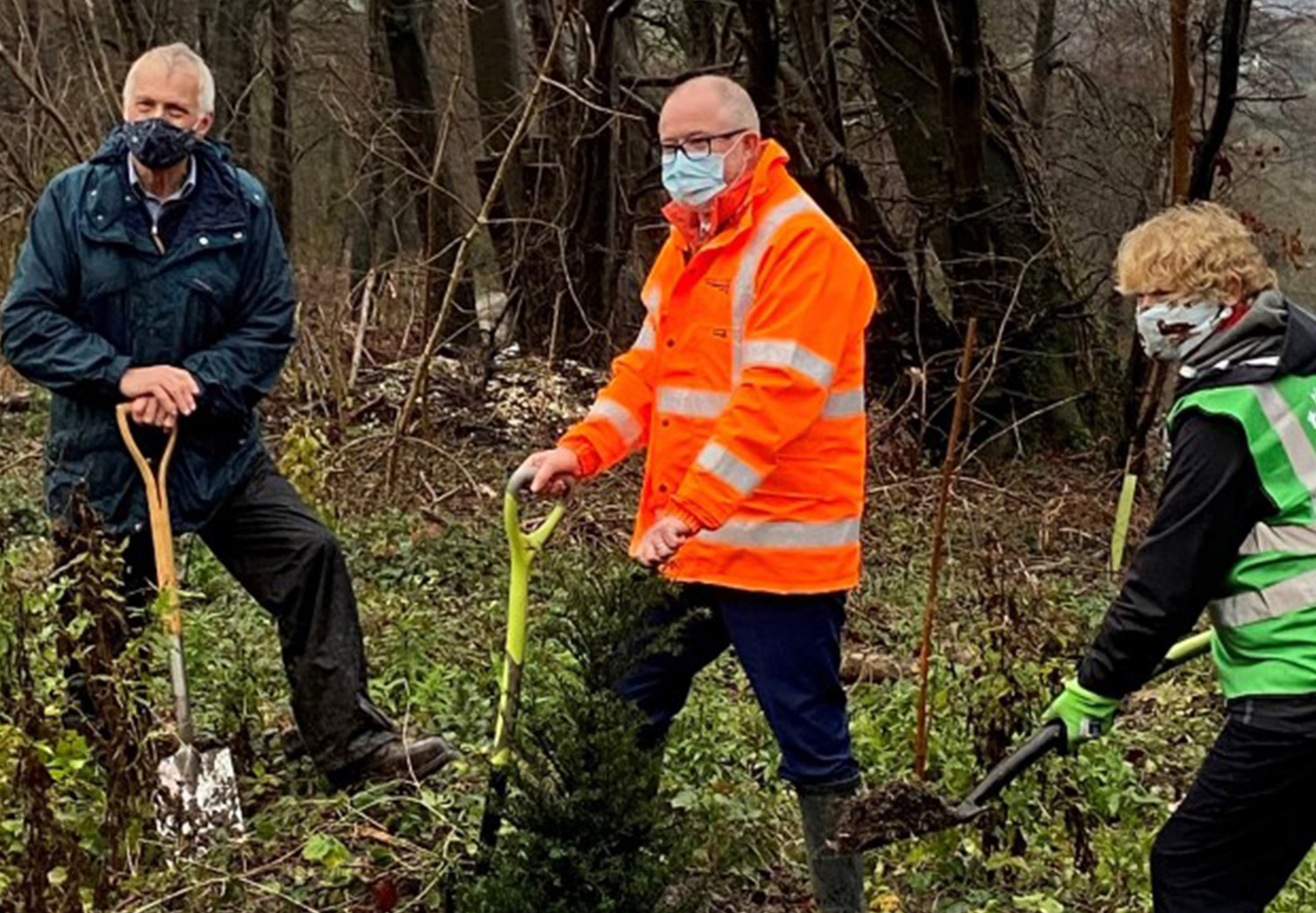 Network Rail is planting thousands of trees around the country - RailStaff